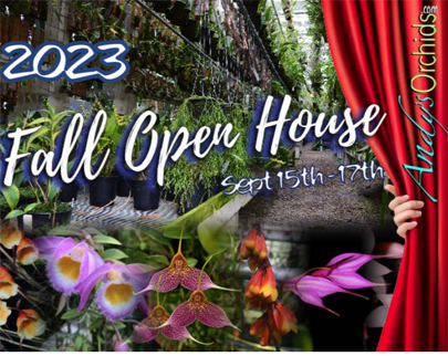 Orchid Events in California