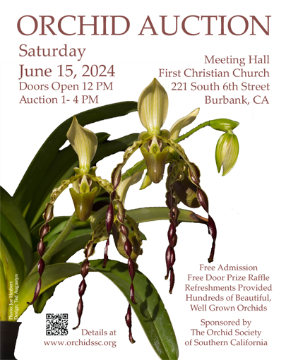 California Orchid Event Calendar, Shows and Festivals