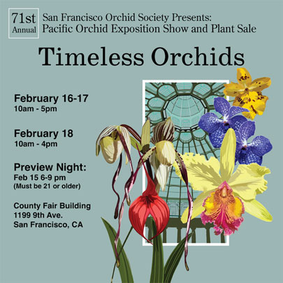 Orchid Event Calendar, Shows and Festivals